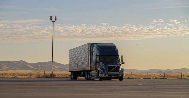 World Cargo - International Shipping Company for All Cargo